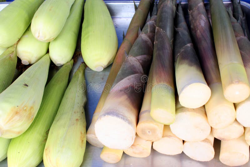 Corn and bamboo shoot stock photo. Image of festival - 75840796