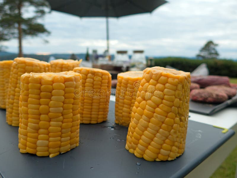 Corn for the Barbecue Party Stock Photo - Image of party, summer: 62588128