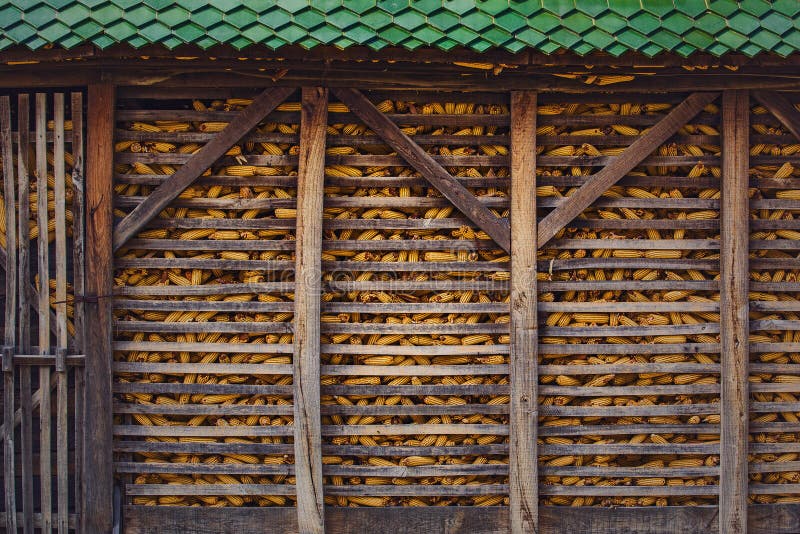 Corn barn on the farm stock image. Image of nature, feeding - 57726065