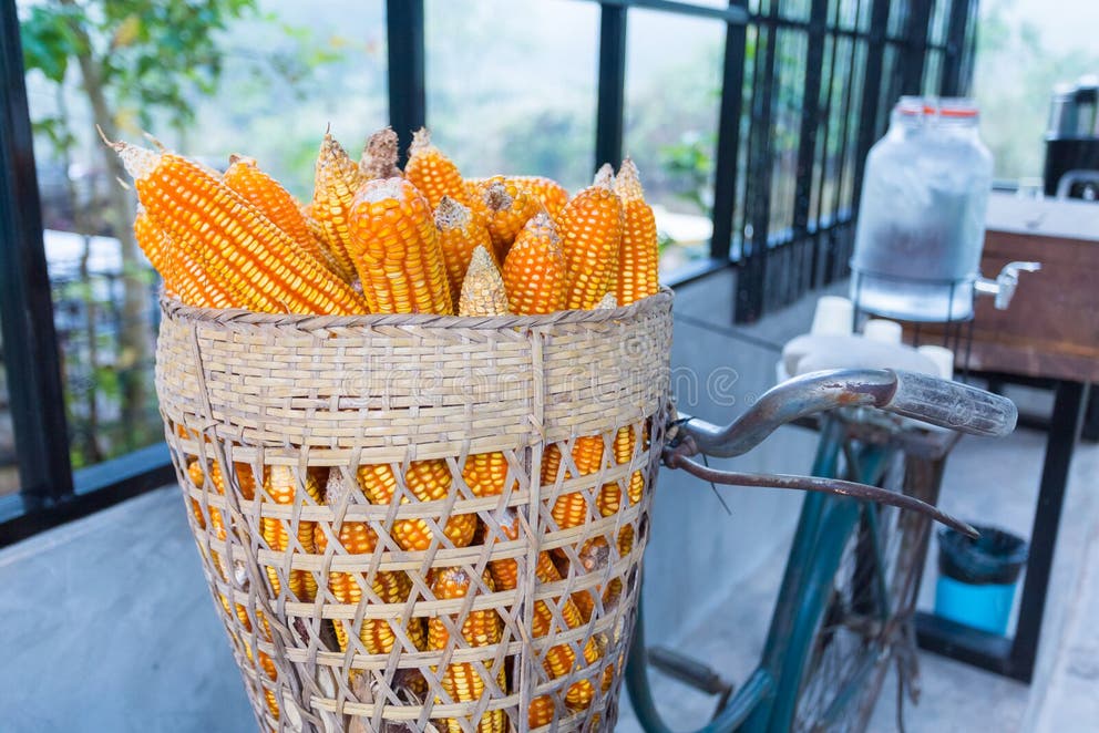 Corn basket bike stock photo. Image of detail, kernels - 83289278