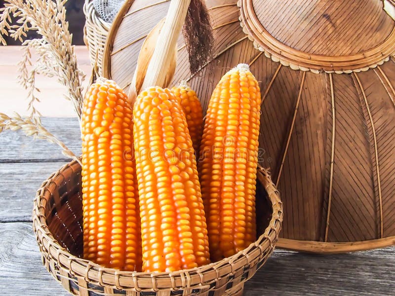 Corn in Basket, on Wooden Table Stock Photo - Image of kernels, heap ...