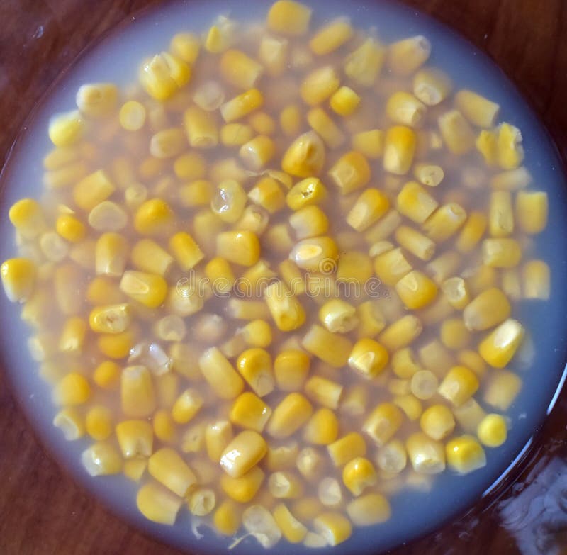 Corn beans stock image. Image of boiled, food, harvested - 59441093