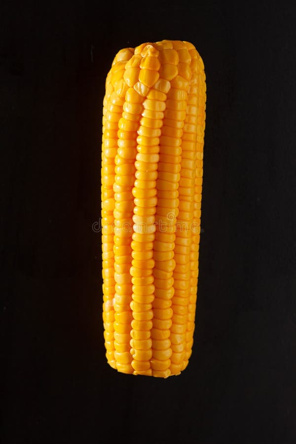 Corn on black background stock photo. Image of shot, fresh - 30097514