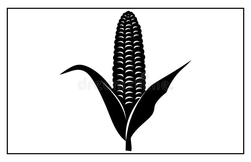 Corn Black Silhouette Art Illustration on White Background, Corn Food ...