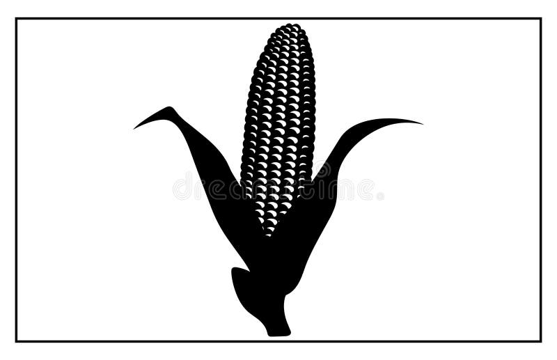 Corn Black Silhouette Art Illustration on White Background, Corn Food ...