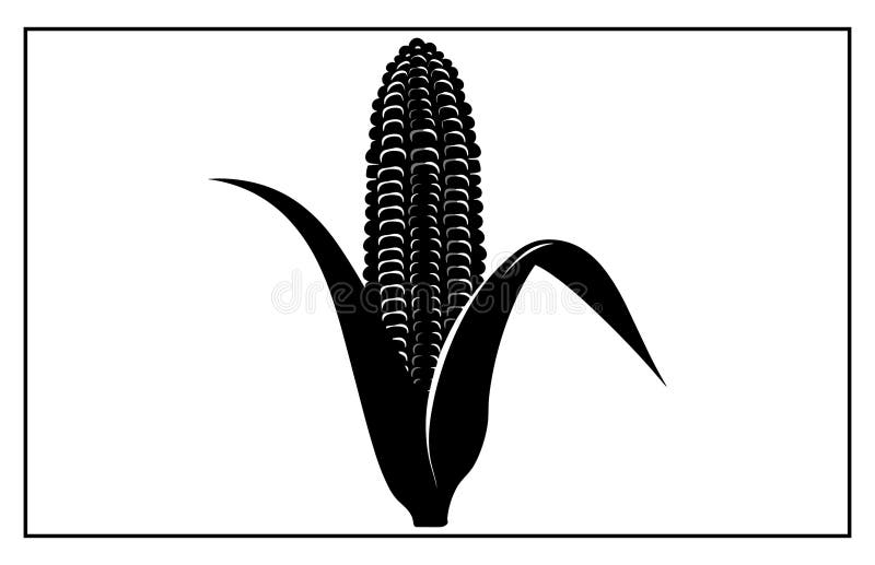 Corn Black Silhouette Art Illustration on White Background, Corn Food ...