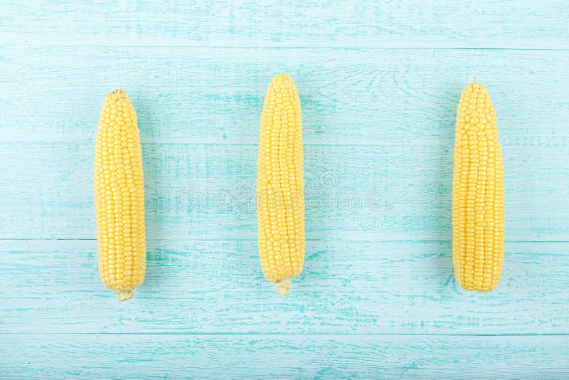 Corn on a blue background stock photo. Image of corn - 96337102