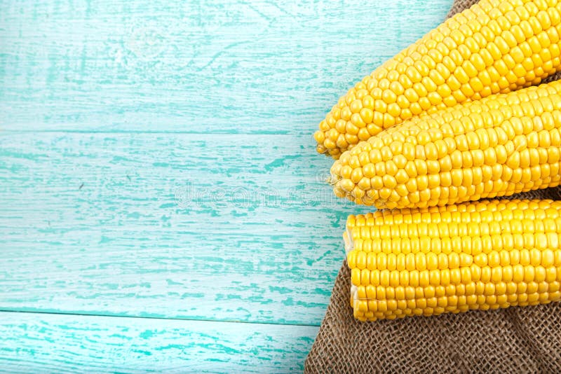 Corn on a blue background stock image. Image of healthy - 76942769