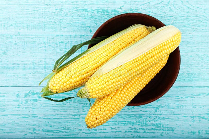 Corn on a blue background stock photo. Image of cuisine - 94224636