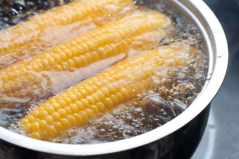 Corn boiling in pot stock photo. Image of covered, detail - 26077914