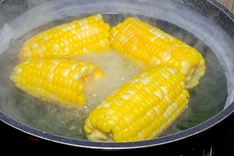 Corn boiling in pot stock image. Image of detail, drumstick - 64423645