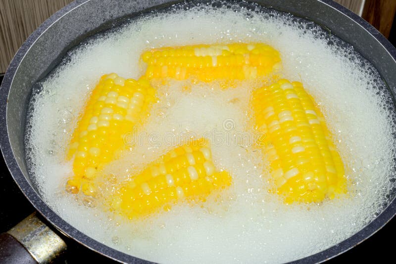 Corn boiling in pot stock photo. Image of corn, topping - 64423670