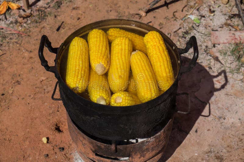 Corn boiling in pot. stock image. Image of healthy, cooking - 68955289