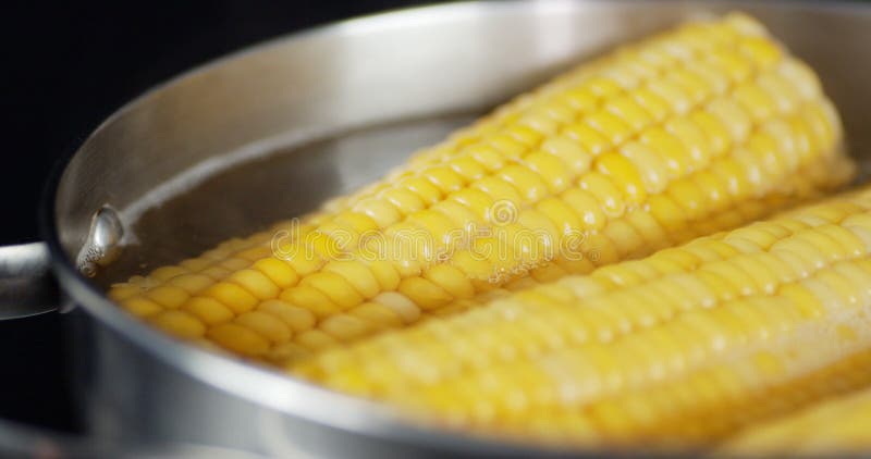 Corn in a Pot of Boiling Water. Filmed on a High-speed Camera at 1000 ...