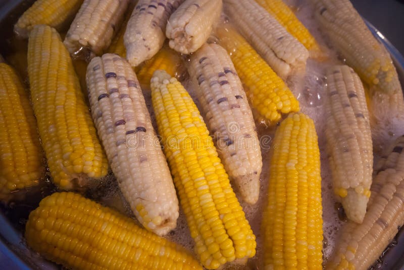 Corn boiling in pot stock image. Image of topping, coated - 33976495