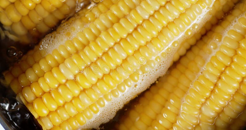 Corn in a Pot of Boiling Water. Filmed on a High-speed Camera at 1000 ...