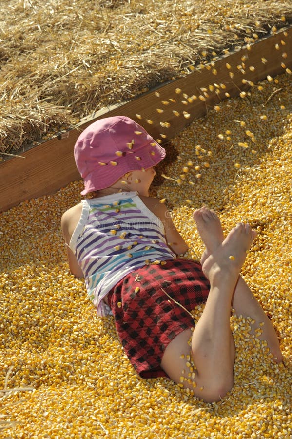 Corn Box stock image. Image of crop, entertaining, girl - 26797745