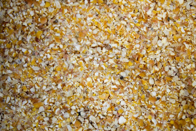 Corn Bran. Waste from Processing of Corn. Mixed Different Grain ...