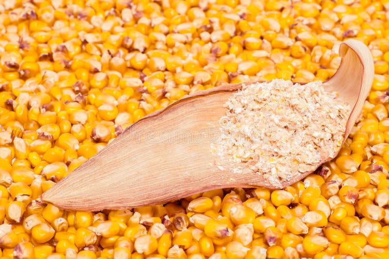 Corn Bran is Stacked on a Dry Brown Corn Leaf on a Yellow Background of ...