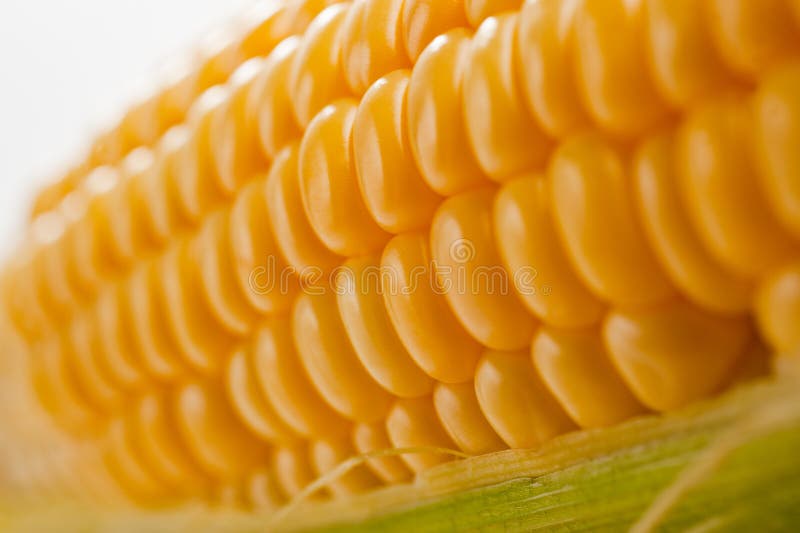Corn Bright Juicy Vegetarian Shot Over White Background Stock Photo ...