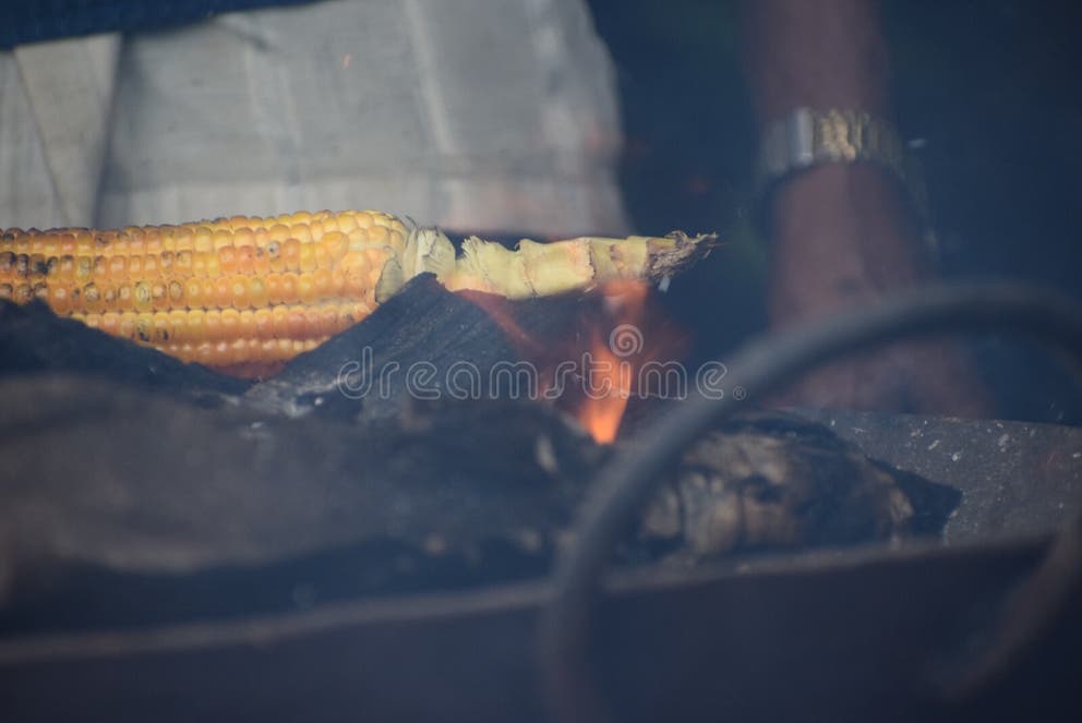 Corn burn in fire stock image. Image of burn, tasty - 123796763