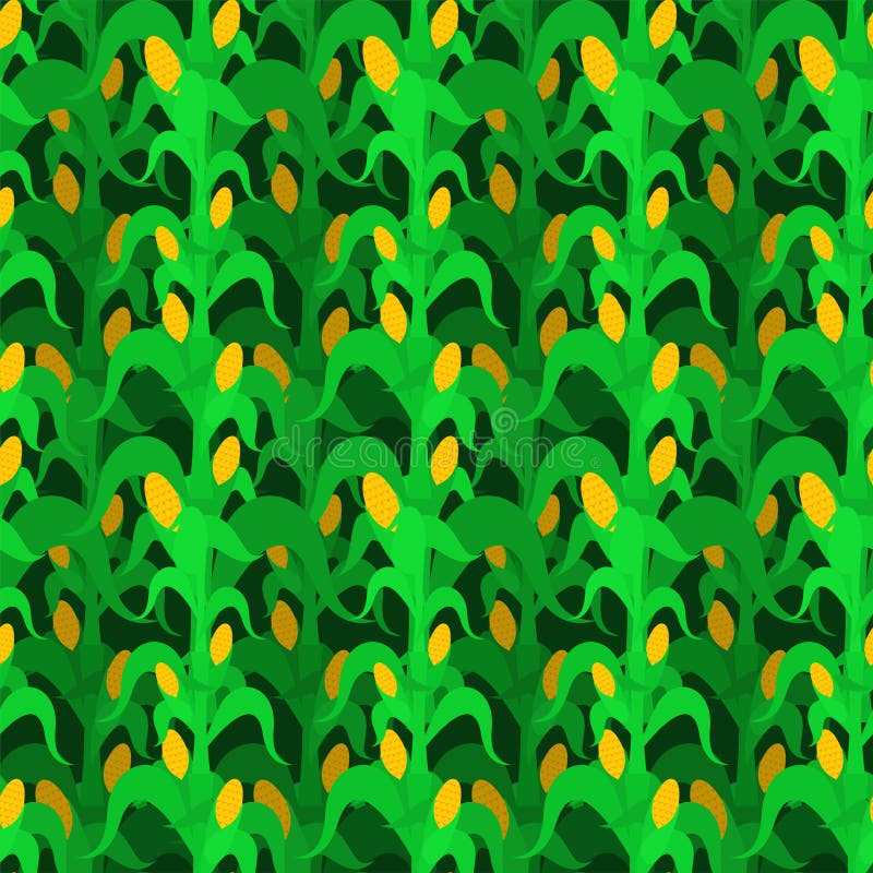 Corn Field Texture Stock Illustrations – 1,281 Corn Field Texture Stock ...