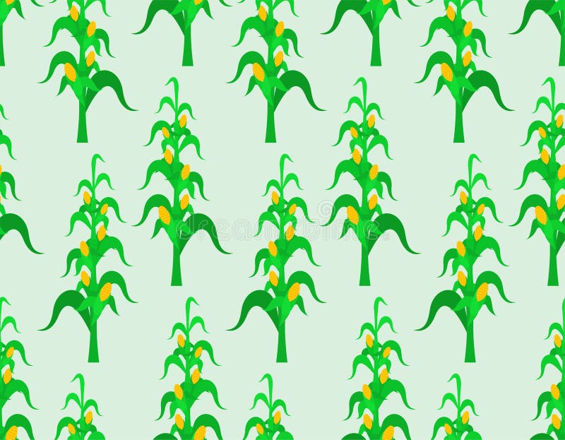 Corn Field Texture Stock Illustrations – 1,281 Corn Field Texture Stock ...
