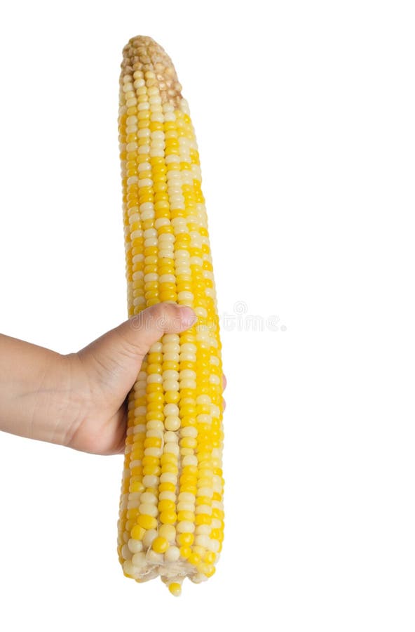Corn on the Child`s Hand on a White Background Stock Image - Image of ...