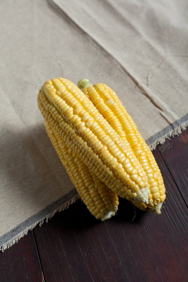 Corn stock photo. Image of stack, fresh, agriculture - 39036770