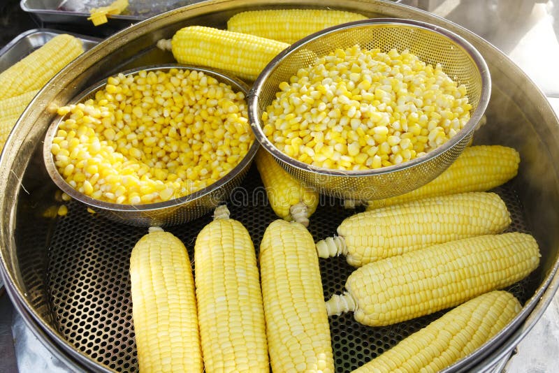 Corn. Coarse, seed. stock image. Image of crops, mexico - 137537339