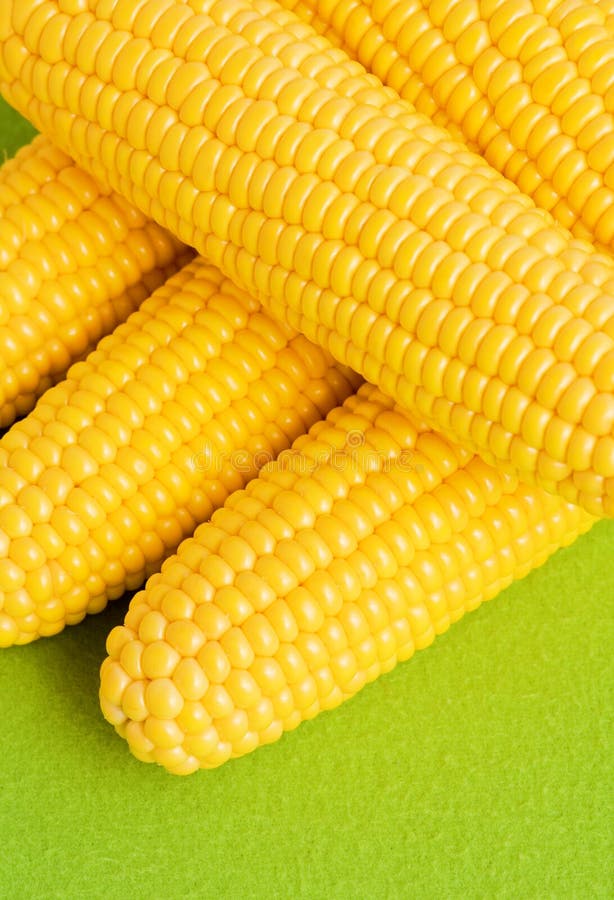 Corn on cob stock image. Image of yellow, sweet, nature - 20737865