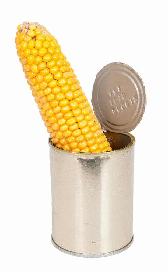 Corn on the cob in a can stock image. Image of fresh - 27061457