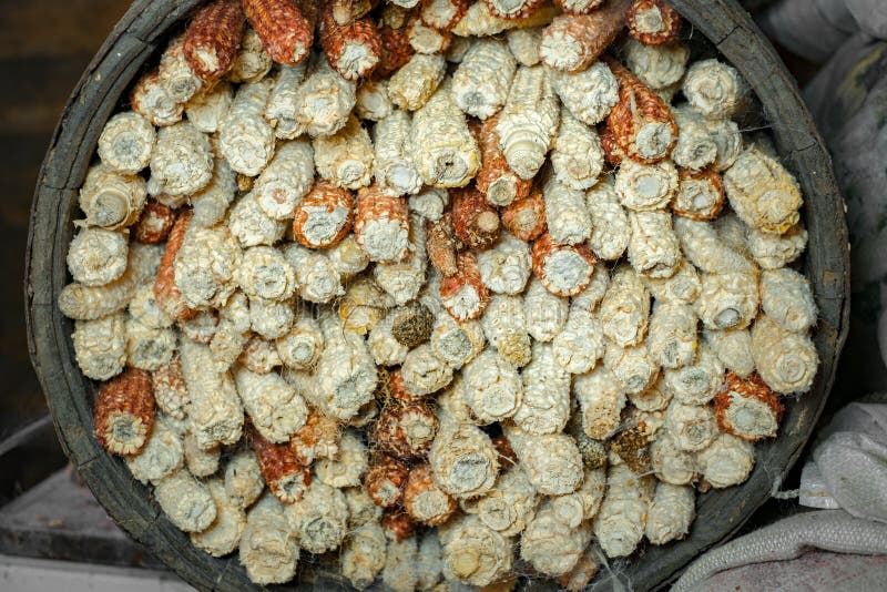 Corn Cob Cornstalk in the Barn Stock Image - Image of countryside, farm ...