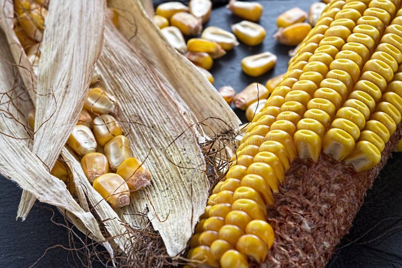 Corn Cob on Dark Stone Background Stock Image - Image of closeup, corn ...