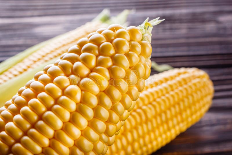 Corn Cob on Dark Wooden Rustic Background Stock Photo - Image of yellow ...