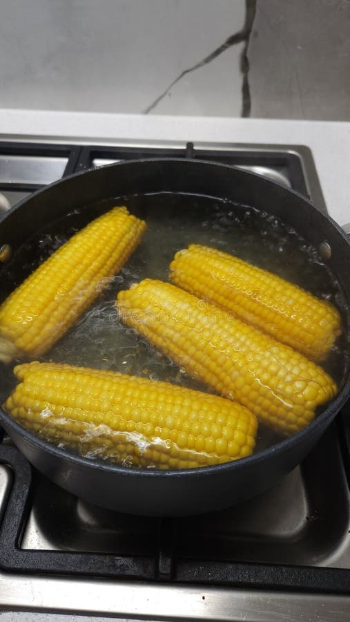 Corn Cob Food in Pot of Boiling Water Food Preparation Stock Photo ...