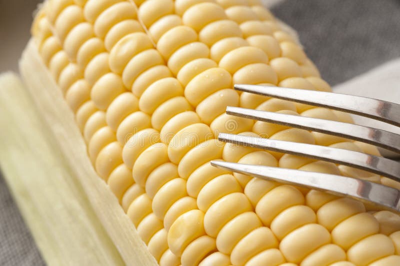 Close-up of Corn-cob with Fork Stock Image - Image of macro, health ...