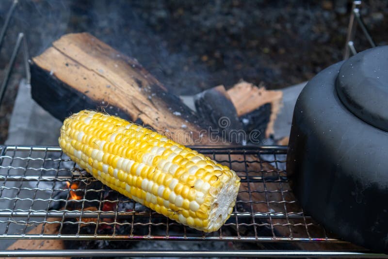 Corn on the Cob Grilling on Fire Stock Image - Image of camp, cooking ...