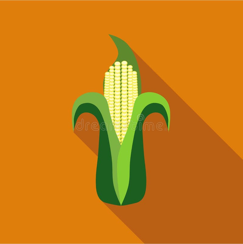 Corn cob icon, flat style stock vector. Illustration of long - 79594805