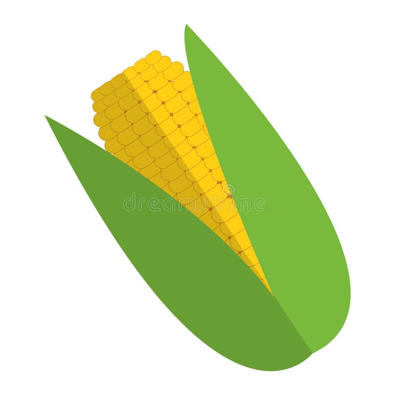 Corn cob icon stock illustration. Illustration of agriculture - 74079193