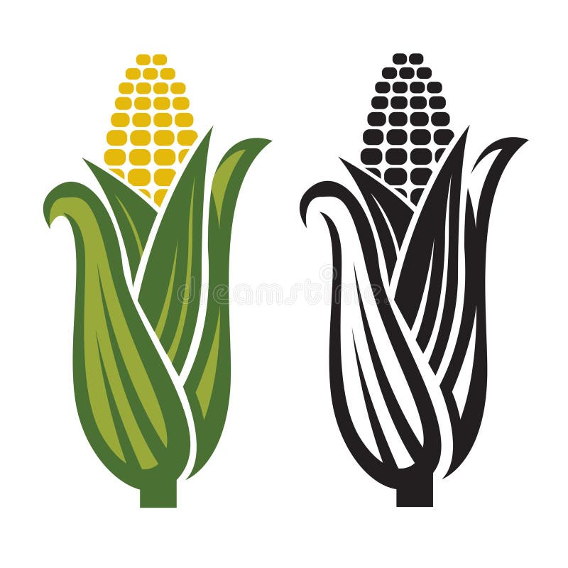 Corn stalk illustrations stock vector. Illustration of organic - 203142715