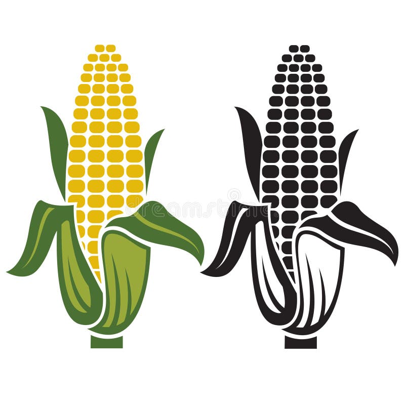 Corn stalk illustrations stock vector. Illustration of icon - 203245738