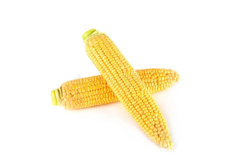 Corn on the Cob Isolated on White Background. Collage. Free Space for ...