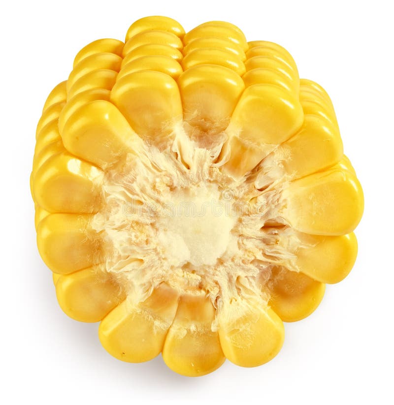 Corn on the cob kernels stock photo. Image of healthy - 128513942
