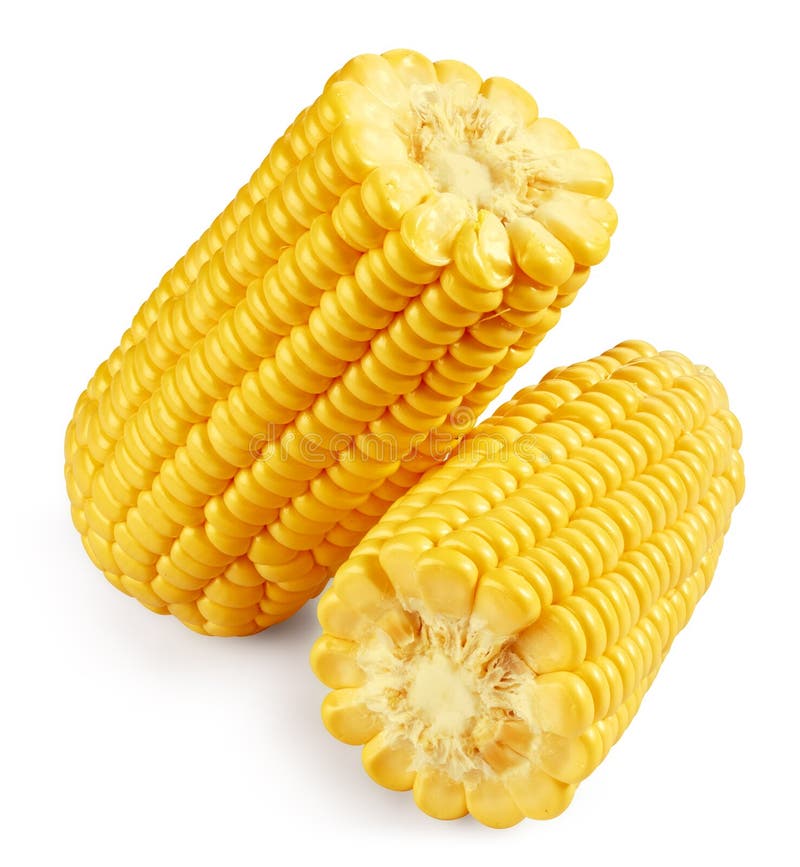 Corn on the cob kernels stock image. Image of golden - 136144407