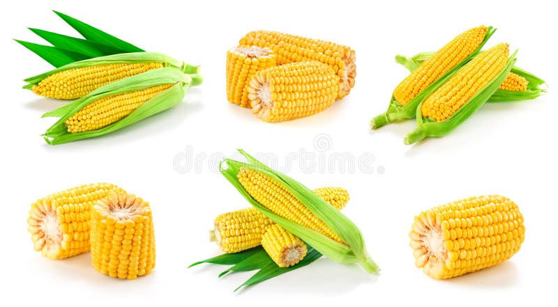 Corn on the cob kernels stock image. Image of ingredient - 118330395