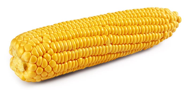 Corn on the cob kernels stock photo. Image of ingredient - 131786780
