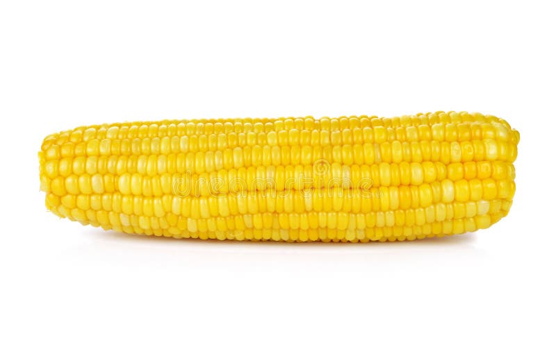 Corn on the Cob Kernels Isolated Clipping Path Stock Image - Image of ...