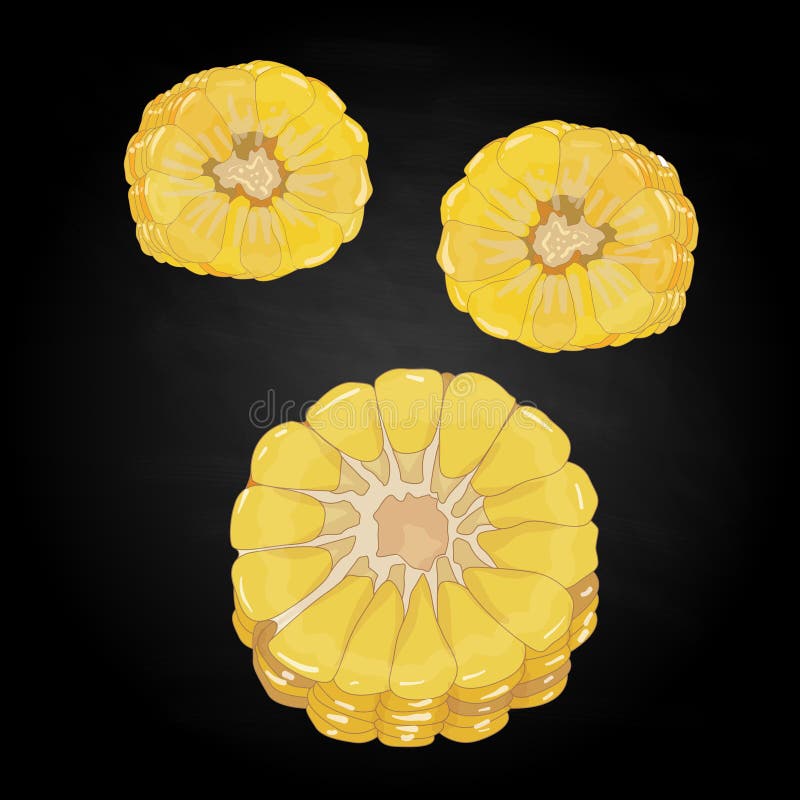 Isolated Kernels Popcorn Stock Illustrations – 1,009 Isolated Kernels ...