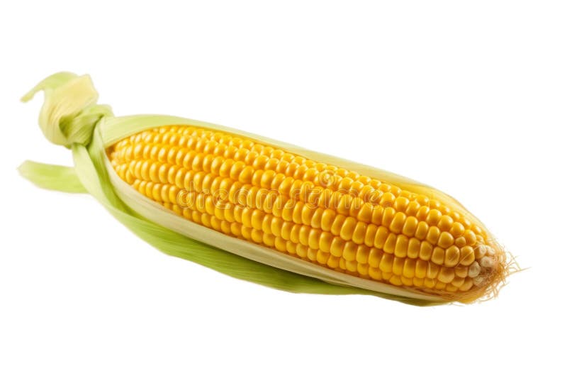 Corn Cob with Kernels, Isolated on Transparent Background, Generative ...